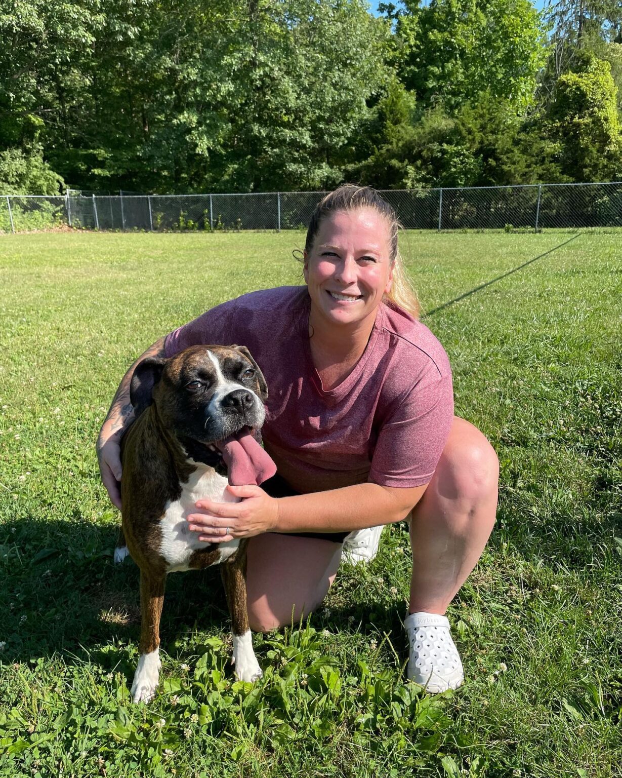 Home - Bark Barn Kennel